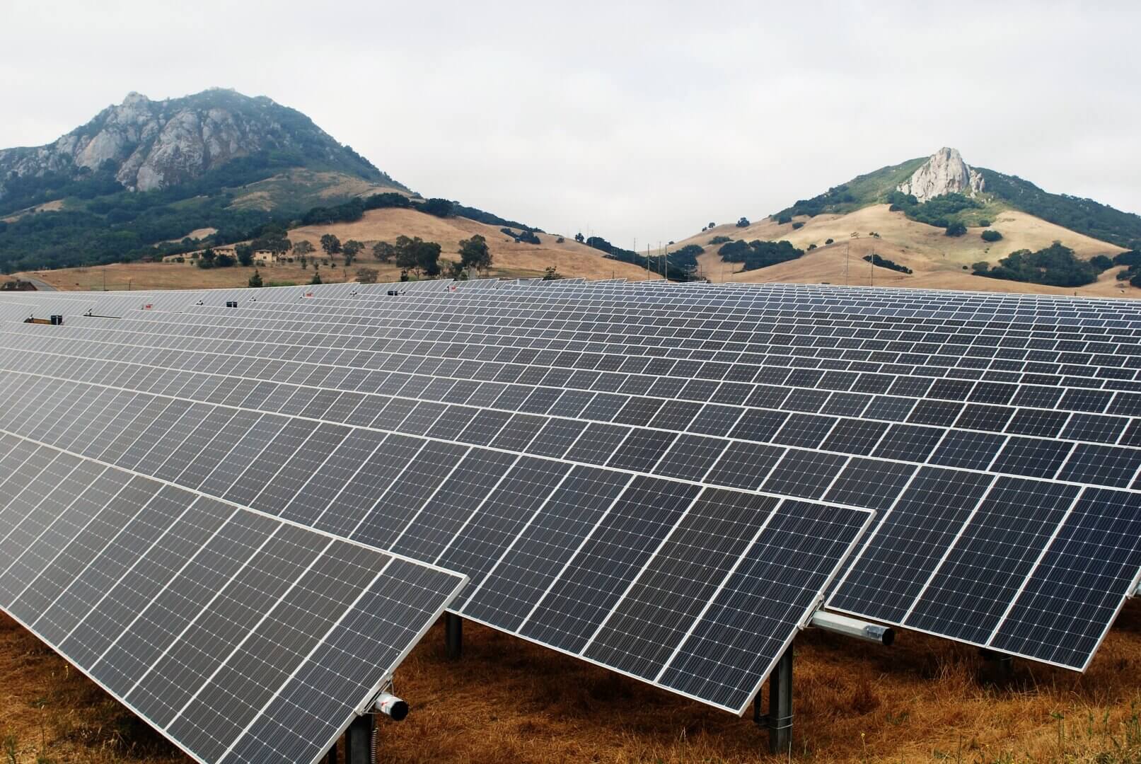 Independent Power Producer in Commercial Solar | REC Solar