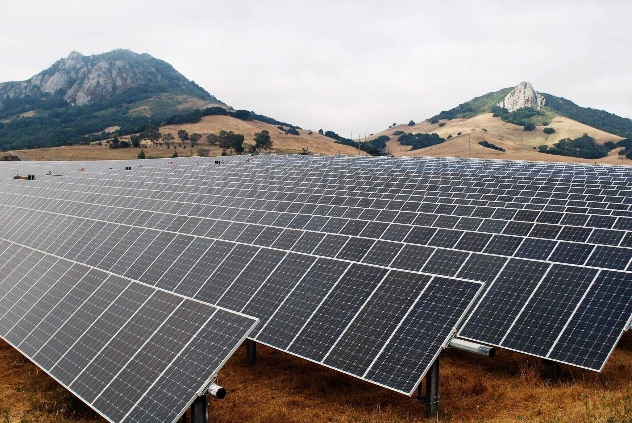 Independent Power Producer in Commercial Solar | REC Solar